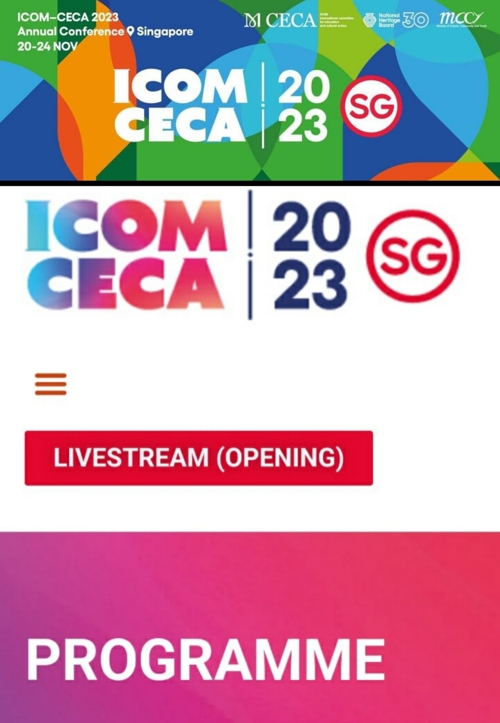 Annual Conference - ICOM CECA - ICOM CECA